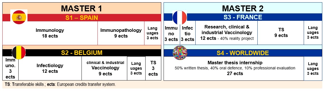 Program structure - LIVE